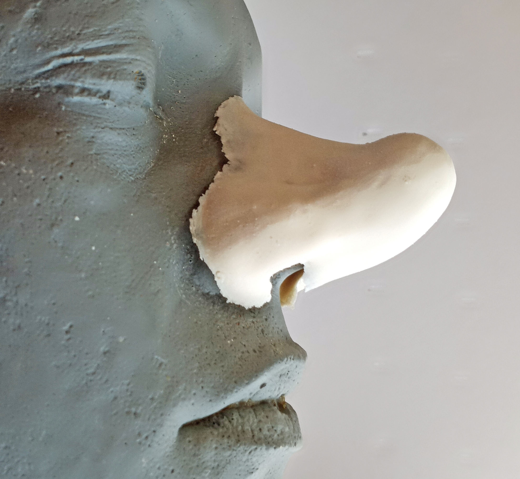 Cyrano Nose Foam Latex Prosthetic