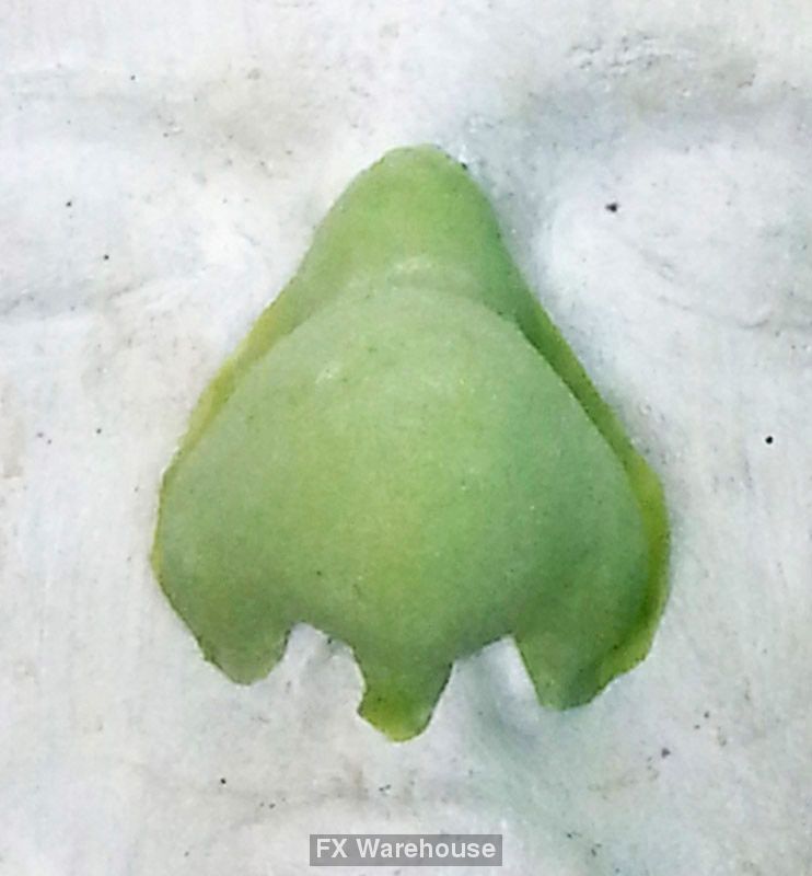 Fiona Ogre Mask