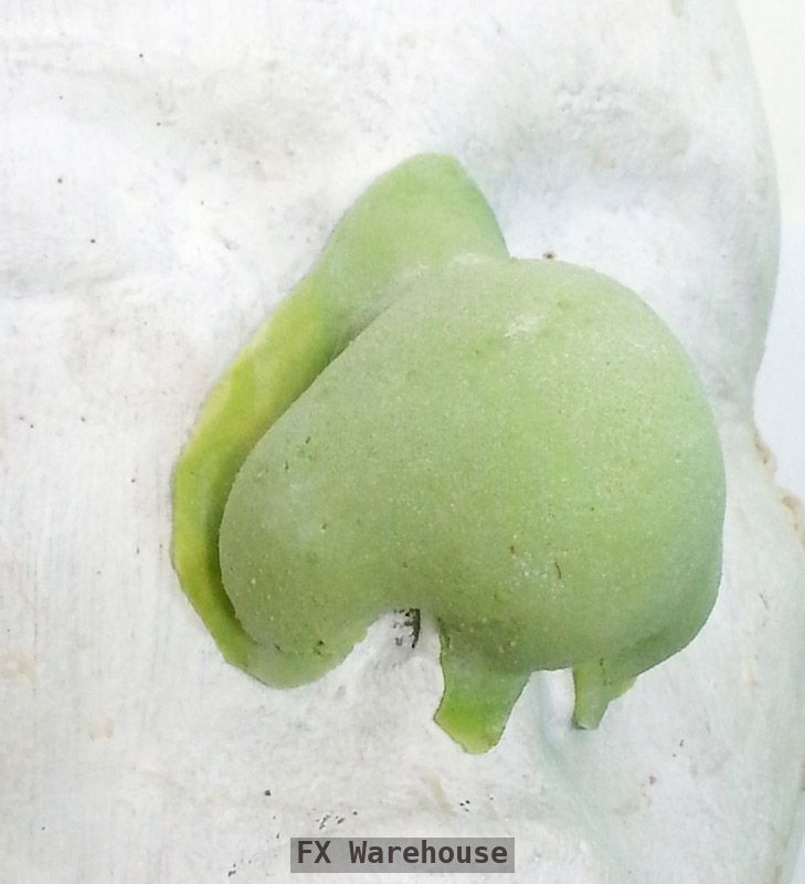 Fiona Nose - Slush Latex: fxwarehouse.com